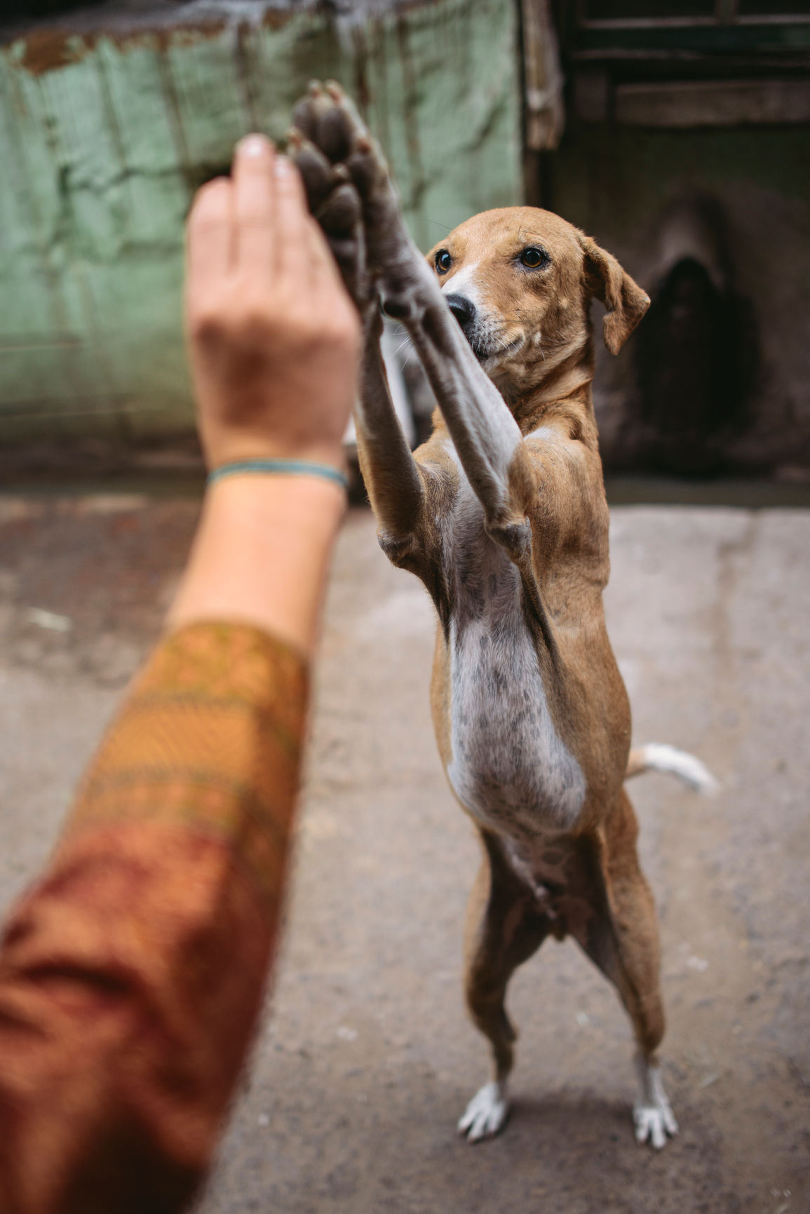 The QATO Foundation - what we support