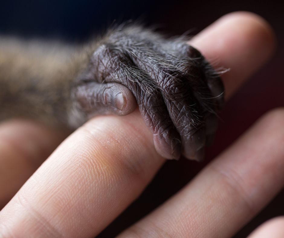 QATO Fondens Studielegat