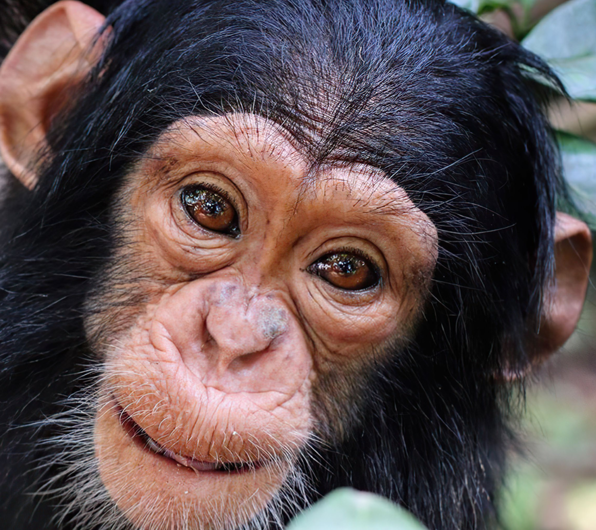 QATO Fonden - Forside