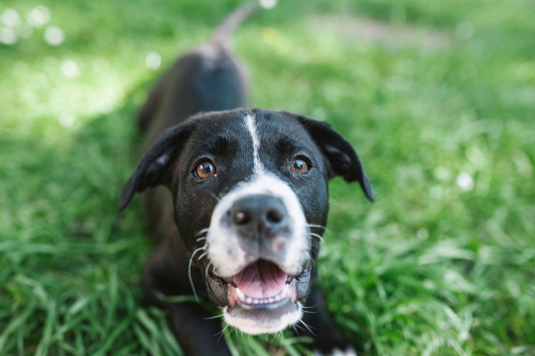 The QATO Foundation - what we support