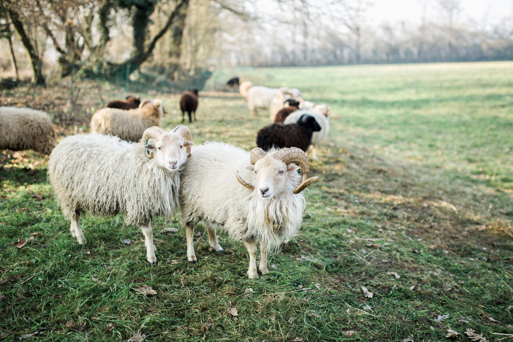 The QATO Foundation - what we support